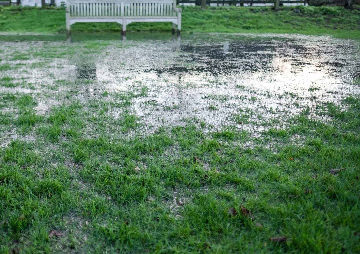 Britain's waterlogged gardens - Artificial Grass Direct Ltd