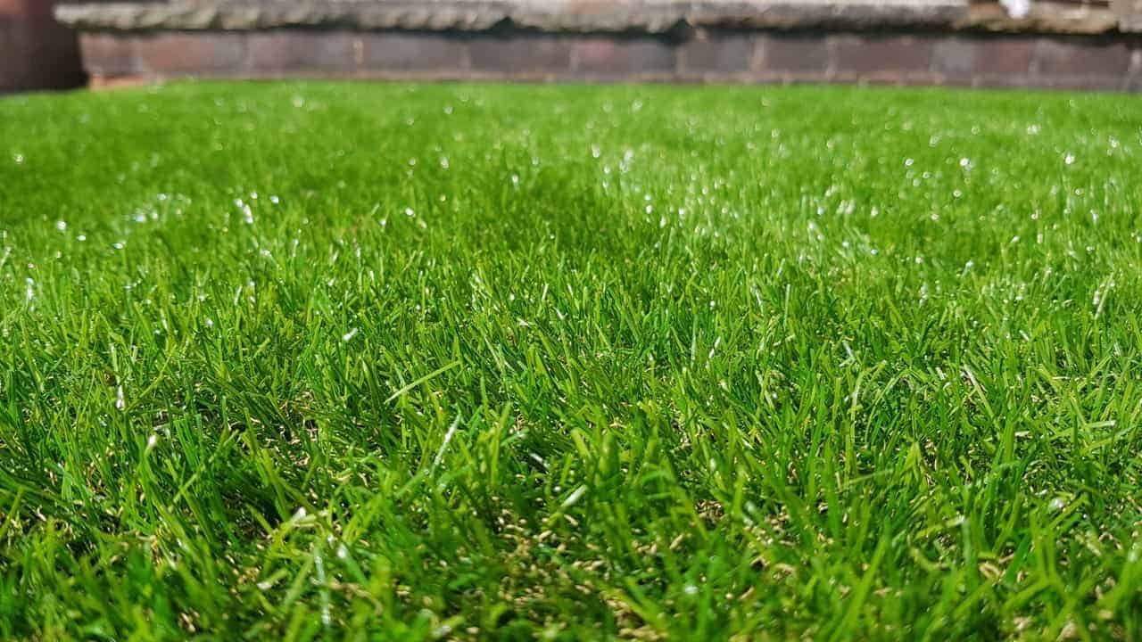 UK's Leading Supplier of Artificial Grass | Transform Your Garden Today