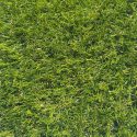 Shop Artificial Grass Online | Premium Fake Grass at The Best Price