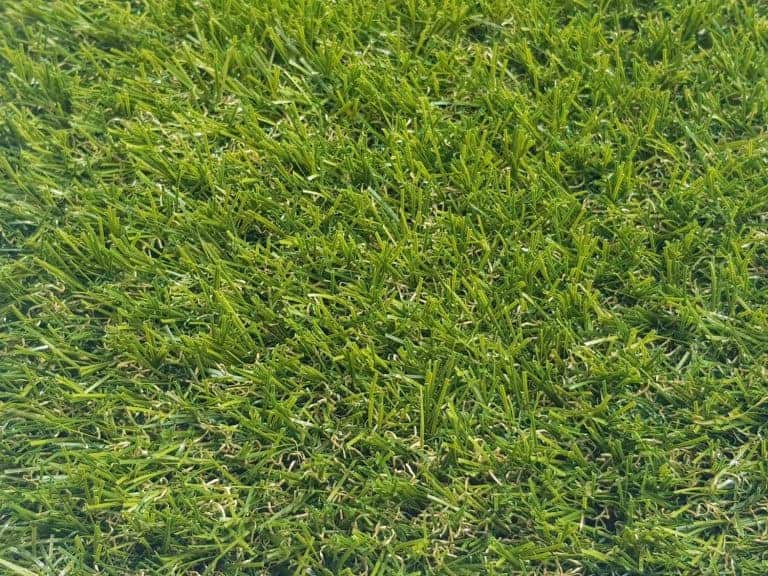 Buy Cheap Artificial Grass Online | Best Prices at Artificial Grass ...