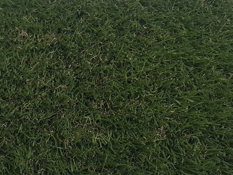 Premium Artificial Grass | Shop Realistic Fake Grass & Transform Your Lawn